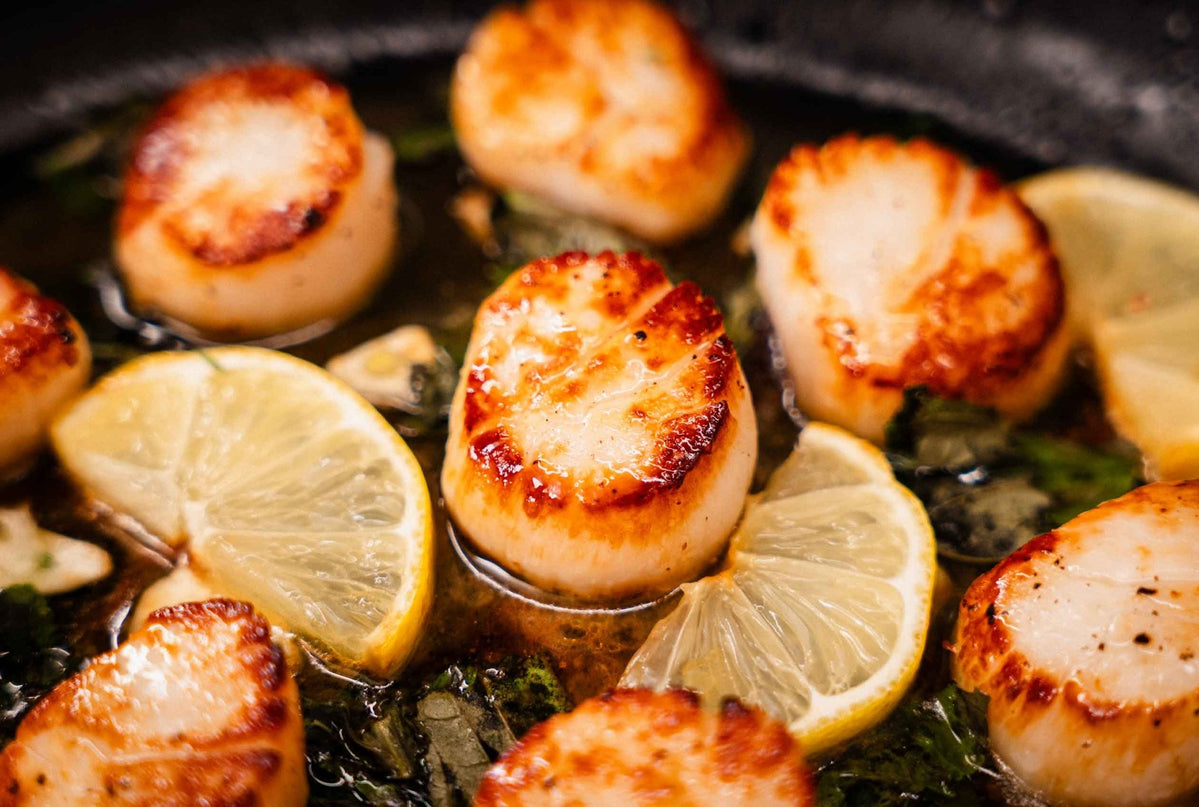 SHOP SCALLOPS